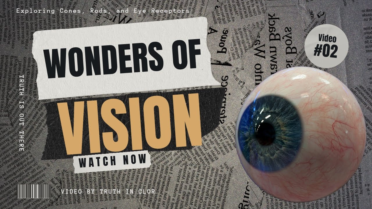 Wonders of Vision : Exploring Cones, Rods, and Eye Receptors in Detail ...