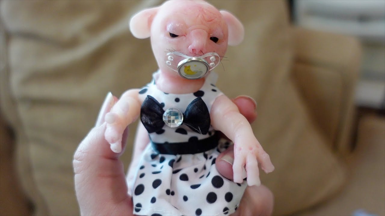 Our human rat Daisy gets some new dresses! - YouTube