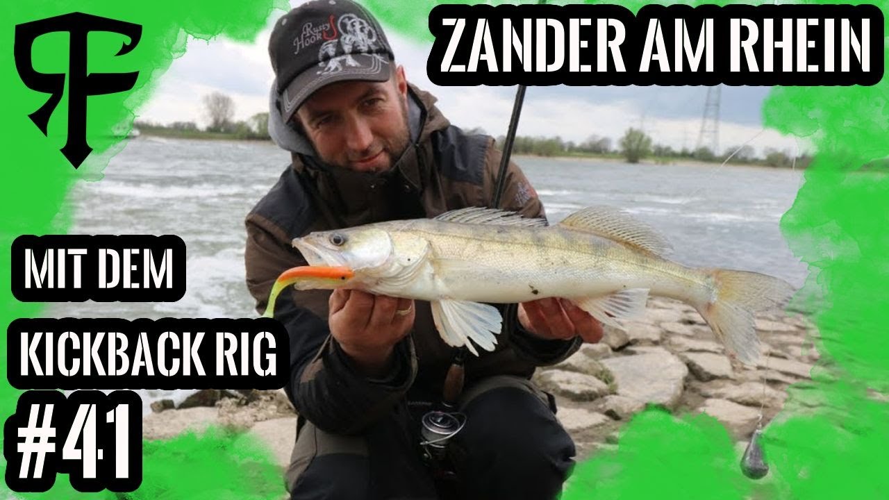 Zander Schlag auf Schlag Livebisse am Rhein mit dem Dropshot-Rig und ...