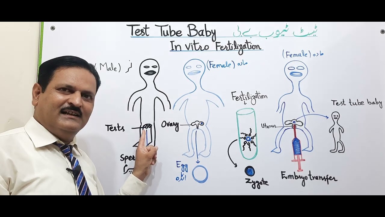Test Tube Baby by in vitro fertilization||Why people don't like sex ...