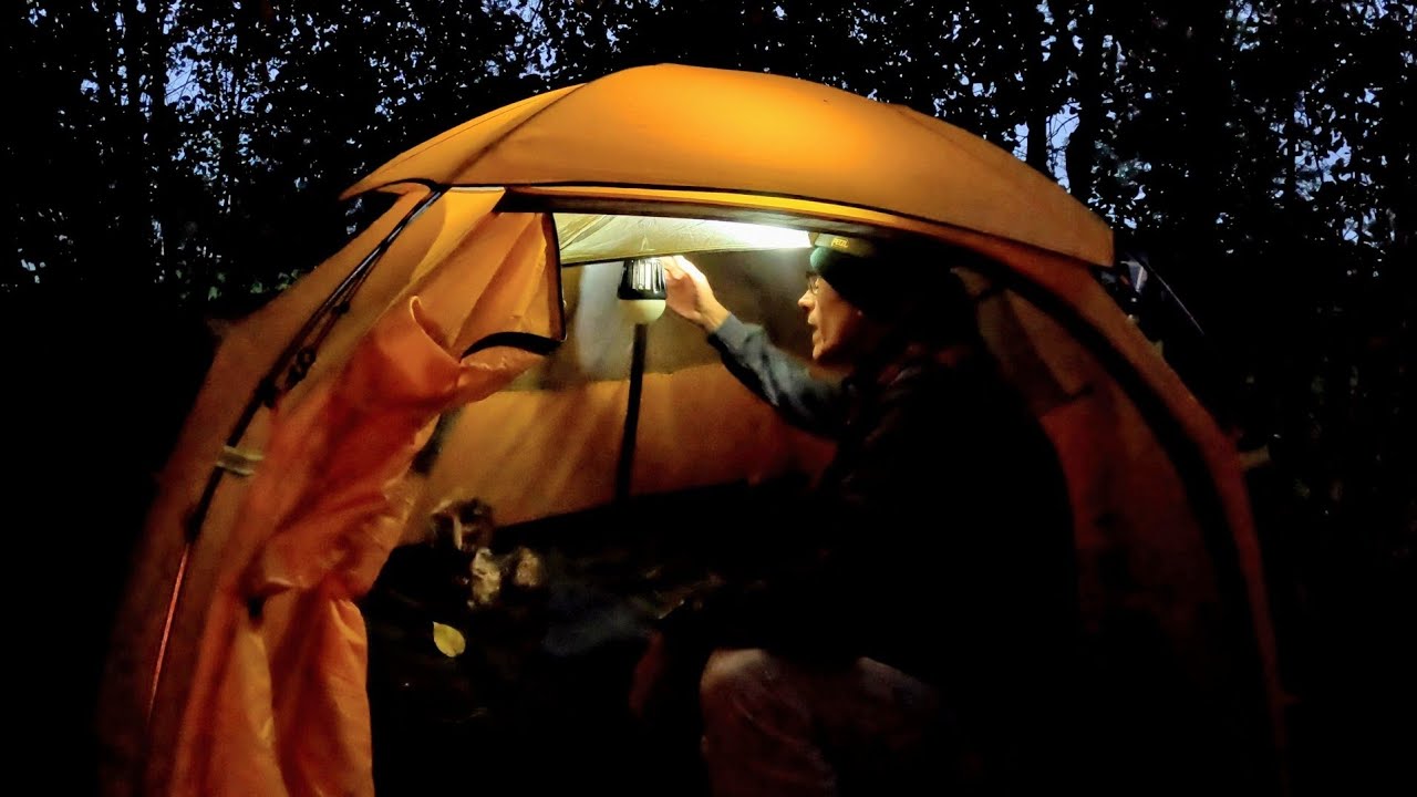 "Made The Call" Back to Outlaw Camp (part 3) - YouTube