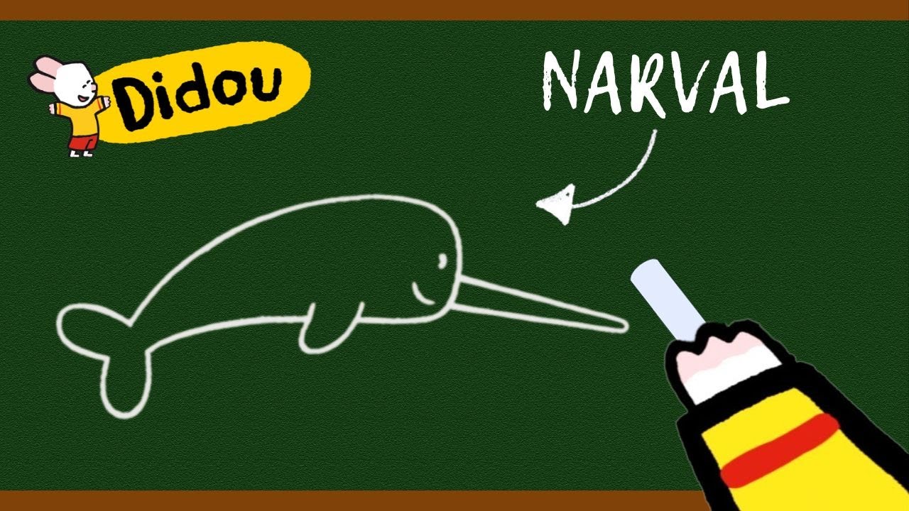 Apprends les lettres avec Didou : N comme Narval 🐟 - YouTube