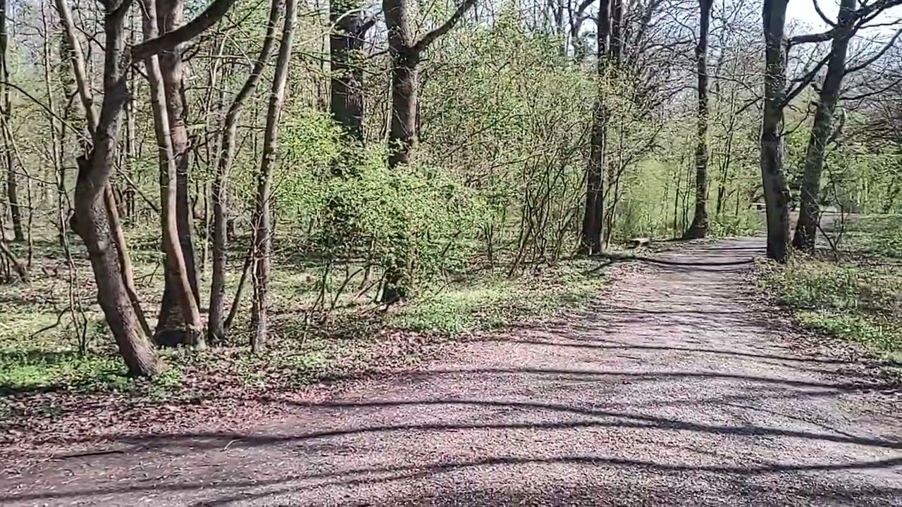 Motorola EDGE 20 sample video FHD 60 FPS