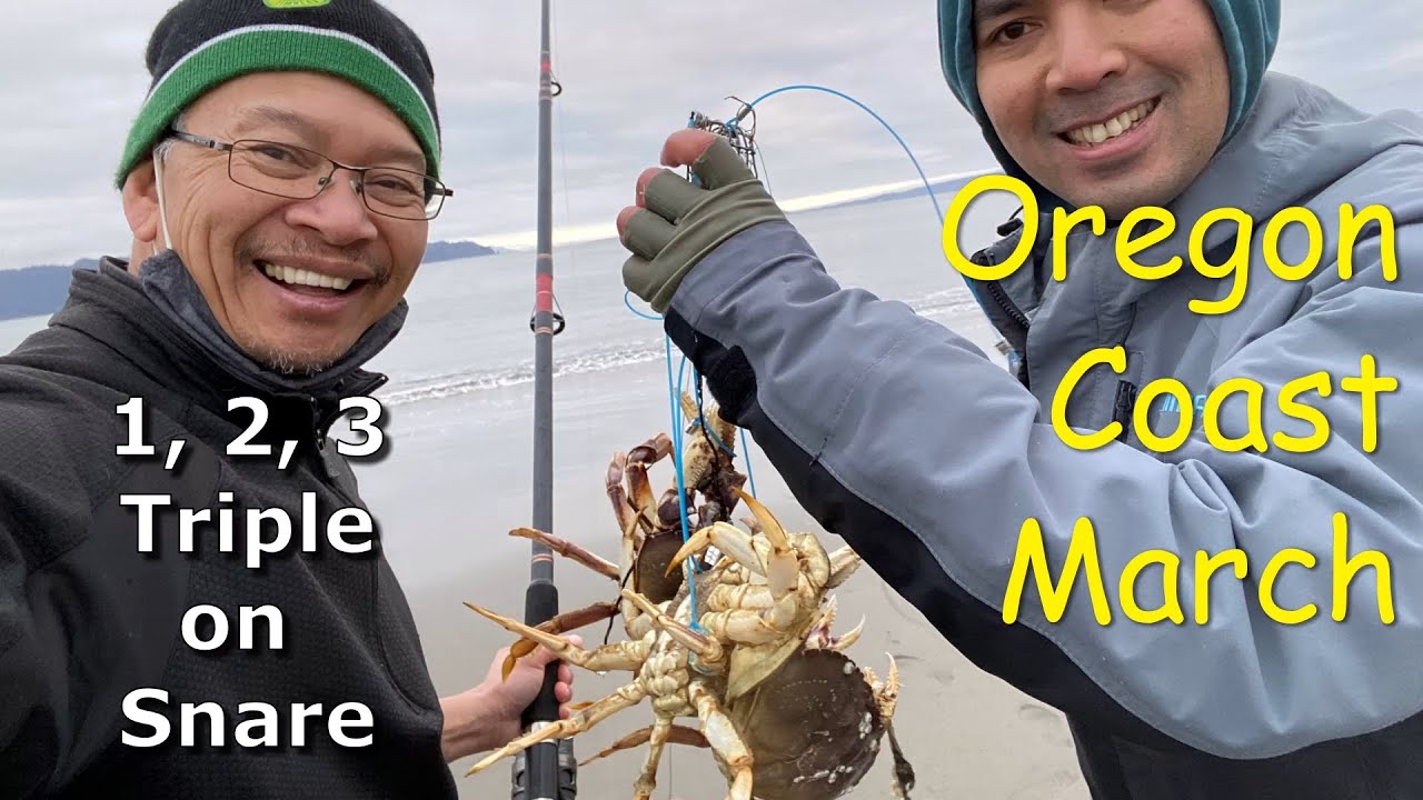Crab Snaring Oregon. Best bait for success!! - YouTube