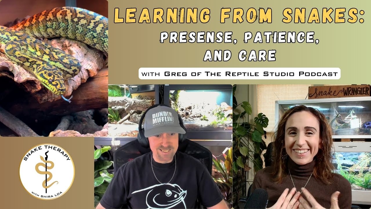 Snakes and ADHD: Gifts of Patience, Trust, and Increased Connection - YouTube