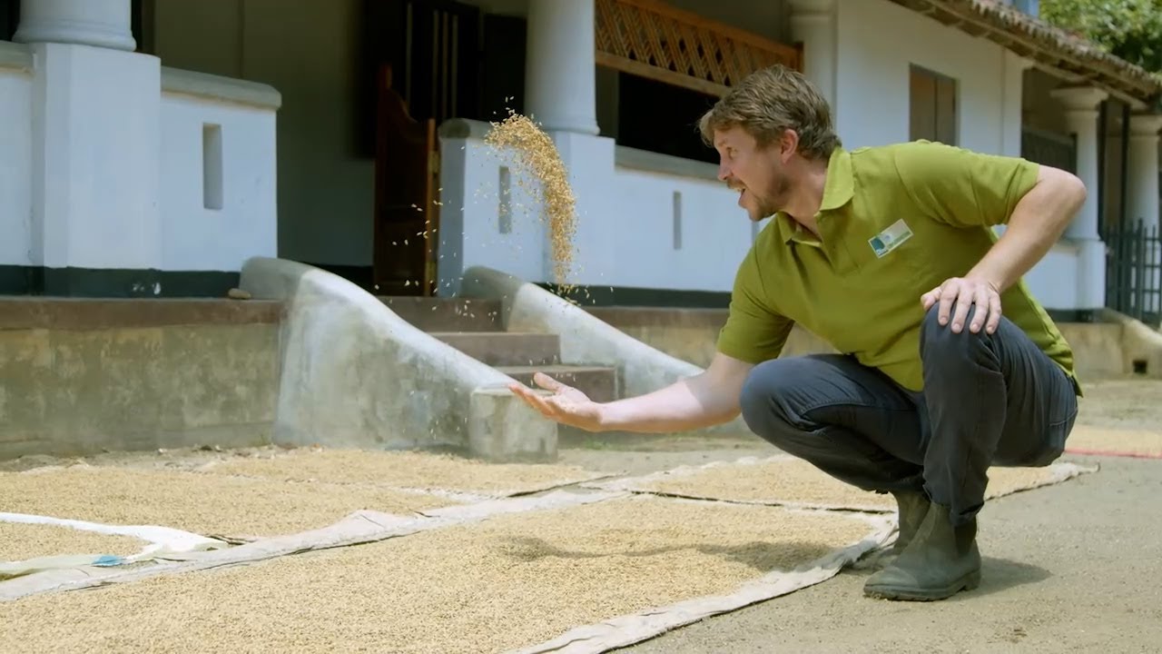 Masterchef’s Simon Toohey Spices things up in Sri Lanka - YouTube
