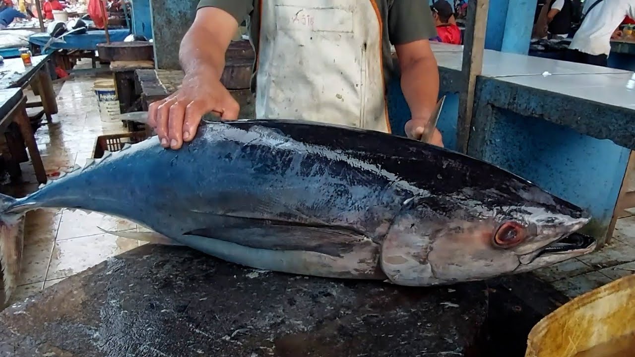 Uncle Abbas' skill in cutting one medium sized tuna with a sharp ...