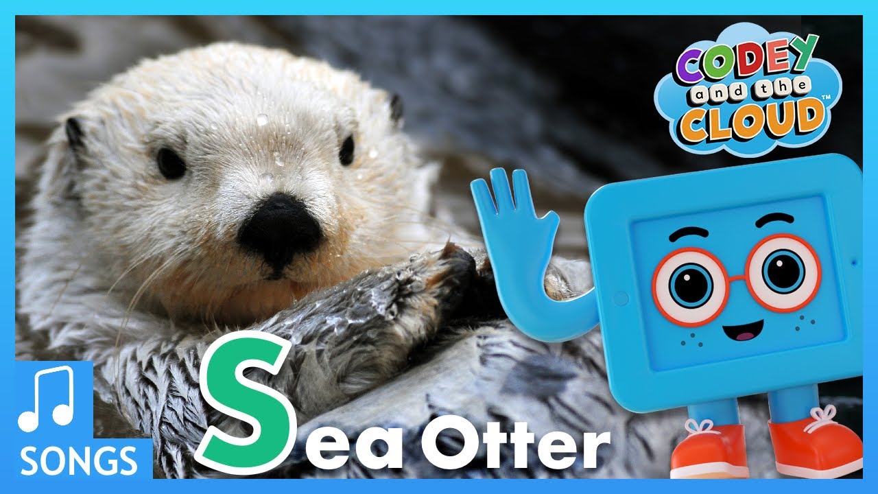 The Sea Otter Song (We Love Clams!) | S for Sea Otter 🦦 | Codey And The ...