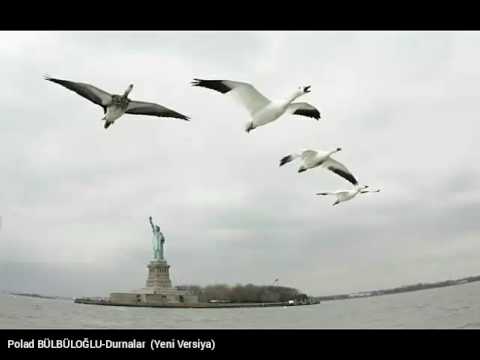 Polad Bülbüloğlu -Durnalar (yeni versiya)