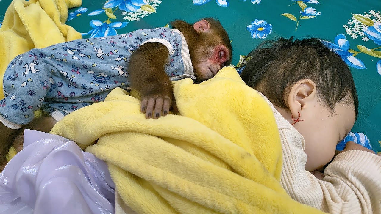 Kobi always wanted to sleep with baby Ceri - YouTube