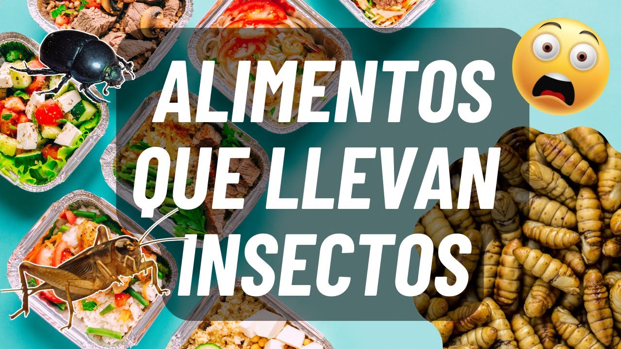 🪳ALIMENTOS QUE LLEVAN INSECTOS | CÓMO IDENTIFICARLOS - YouTube