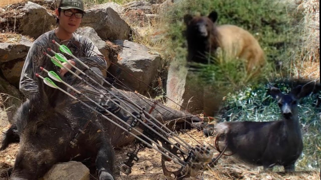 PUBLIC LAND HUNTING BIG BOAR SOW!!Bears,Bucks,Pigs,Turkey!!Scouting ...