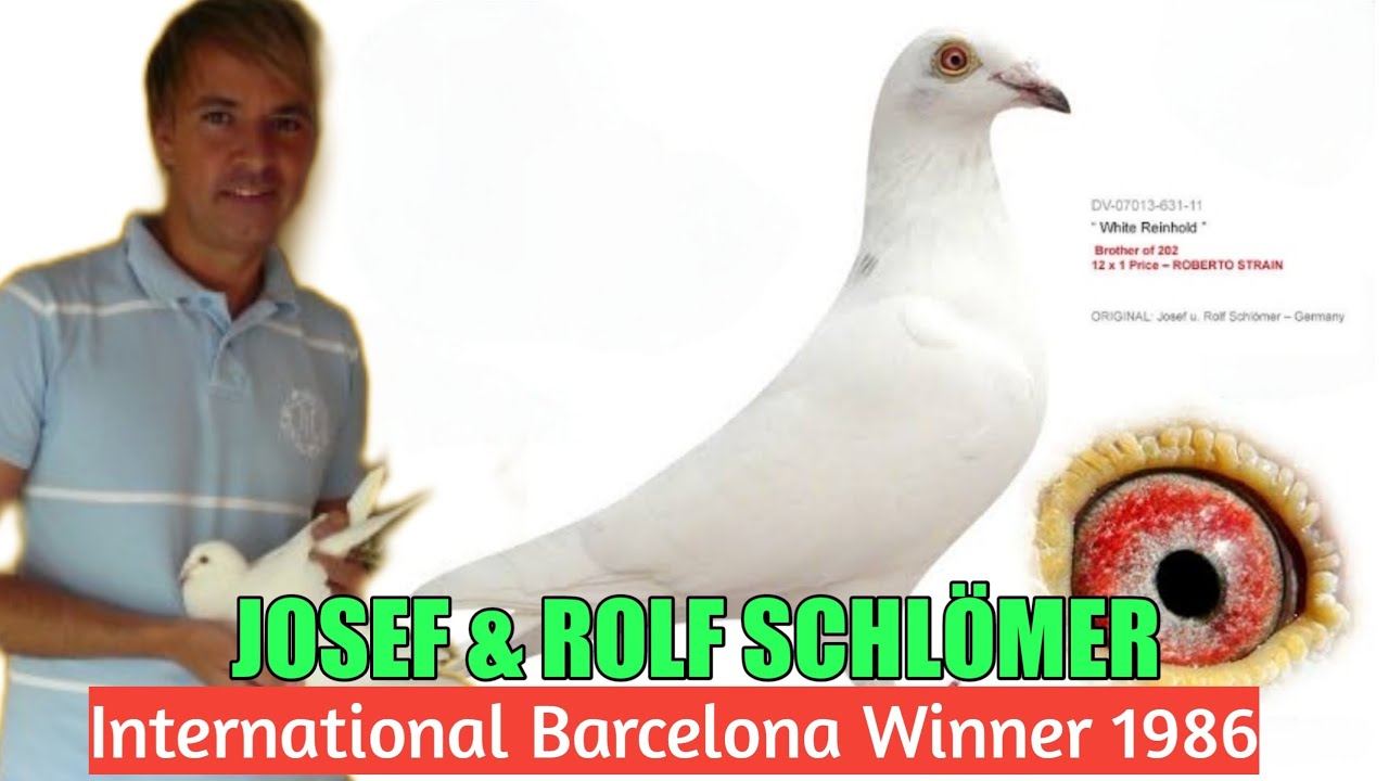 JOSEF & ROLF SCHLOMER - 1986 International Barcelona Winner - YouTube