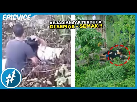 Segera Tonton Sebelum di Hapus Youtube! Kejadian Paling Absurd di Semak - Semak