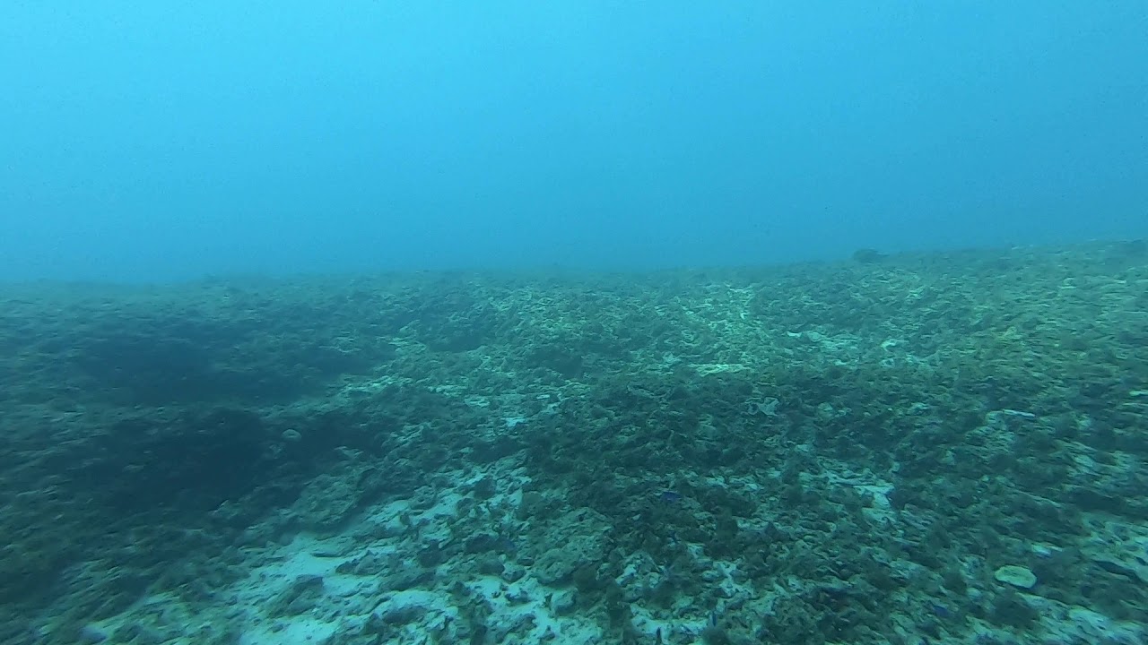 Douglas Shoal Sediment Sampling Panorama Video (2019) AX-6 GH010117 ...