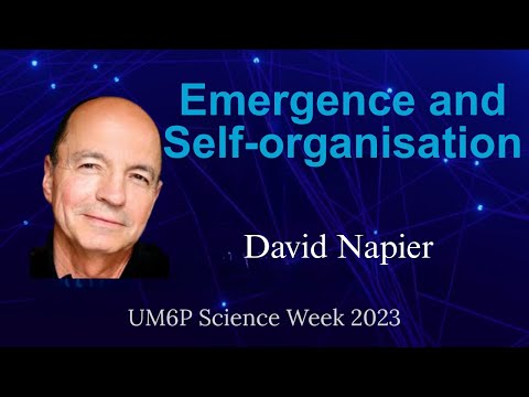 David Napier, Emergence and Self-organization - YouTube