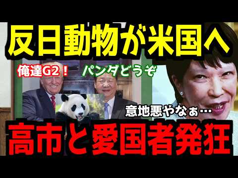【意地悪やなぁ】反日動物でお馴染みのパンダがアメリカへ！高市と愛国者発狂！でもトランプには何も言えませんｗ【ネトウヨ】【自民党】【高市早苗】