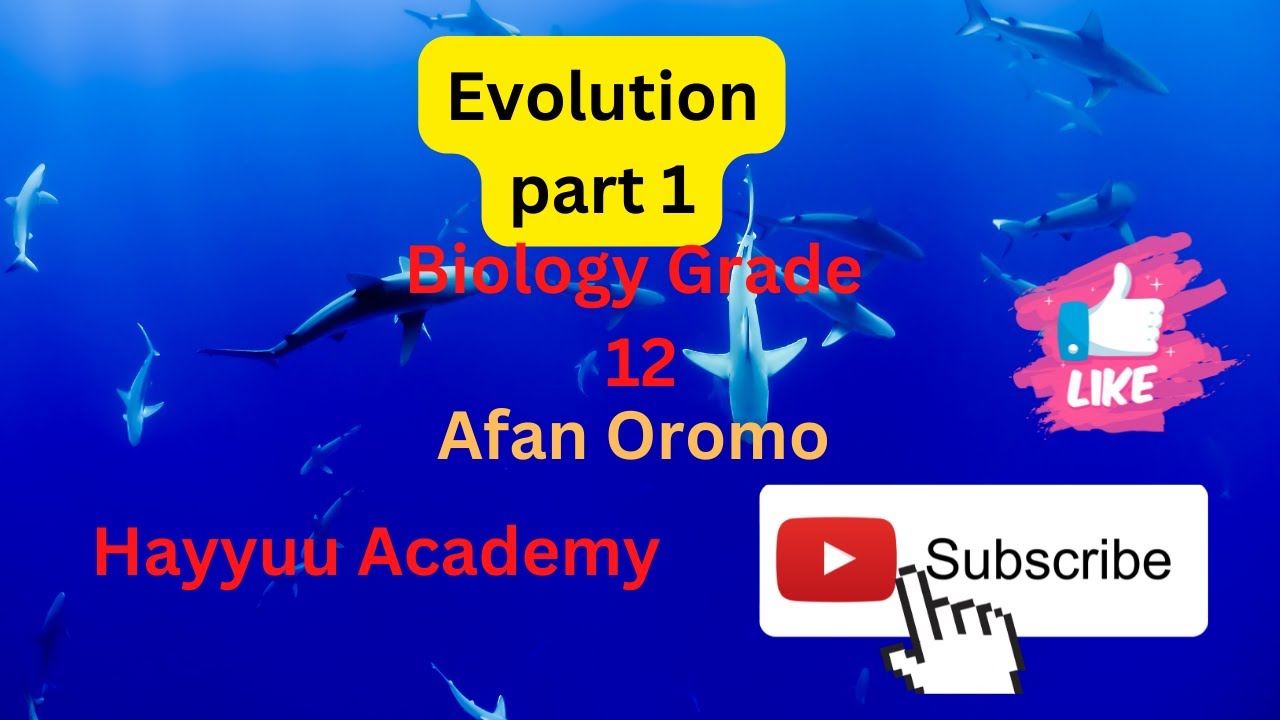 Evolution-Biology Grade 12 Chapter 4 in Afan Oromo - YouTube