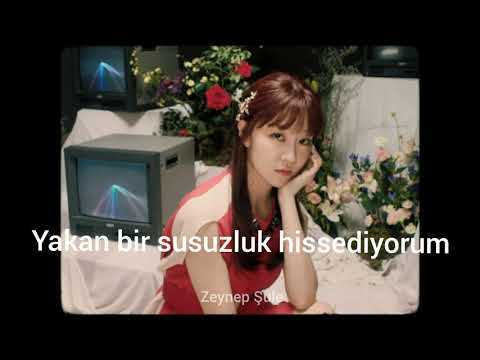 Laboum - Firework (Türkçe Çeviri)