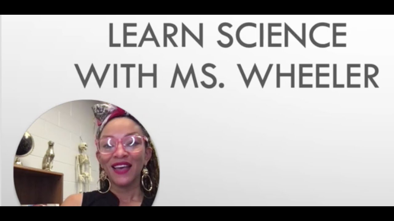 Learn science with Ms. Wheeler - YouTube