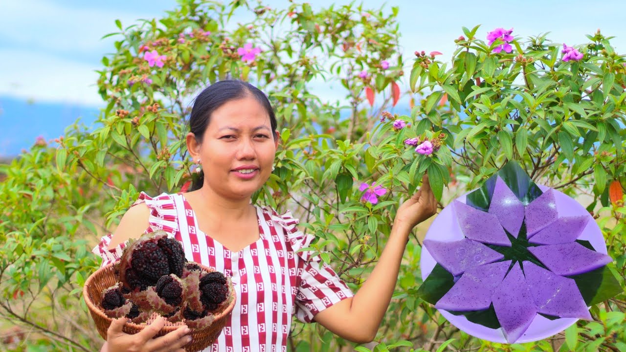 Pick beautiful flowers to make purple sweet [ flower recipe ...