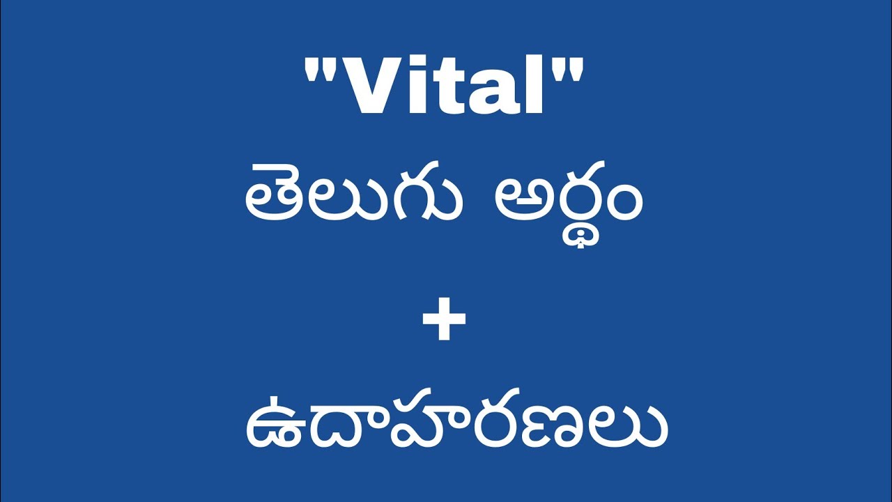 Vital Meaning In Telugu With Examples Vital 