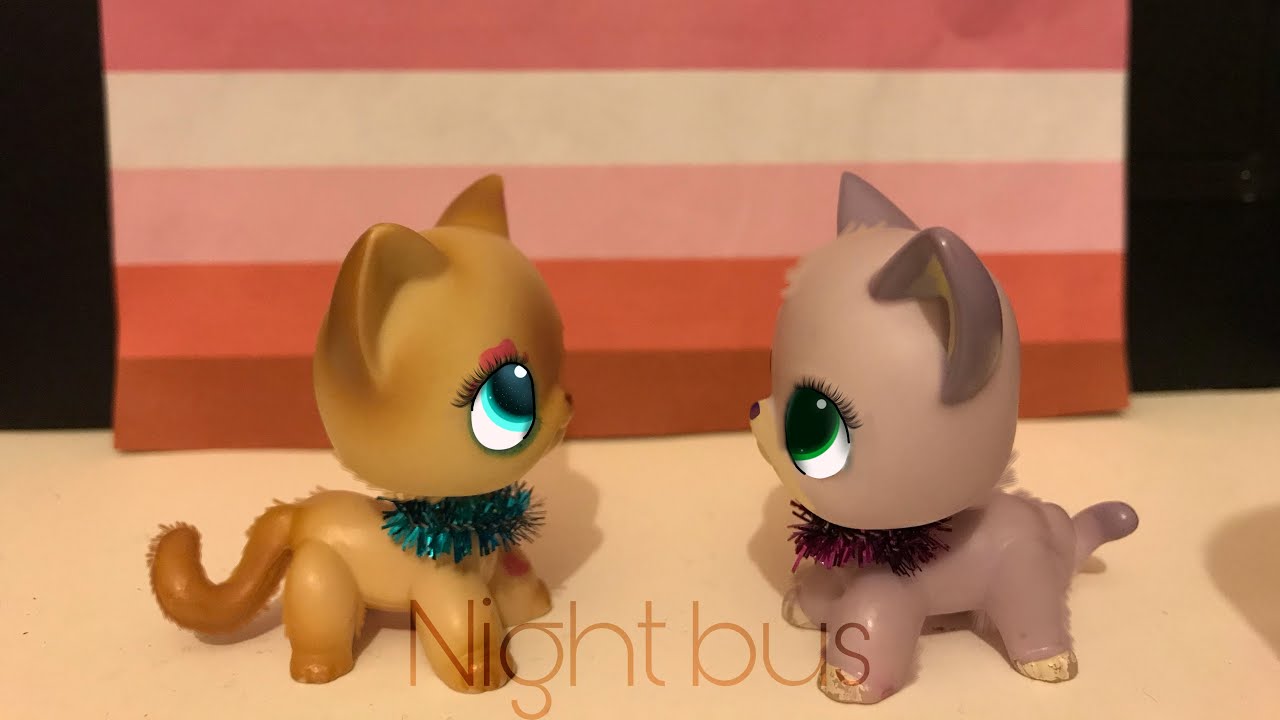 Night bus lps mv 🏳️‍🌈Happy pride month🏳️‍🌈 - YouTube