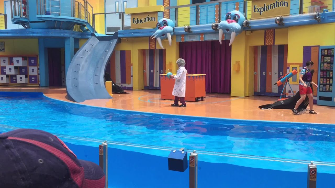 Sea World Orlando Sea Lion High. New Show. Some animals did not want to ...