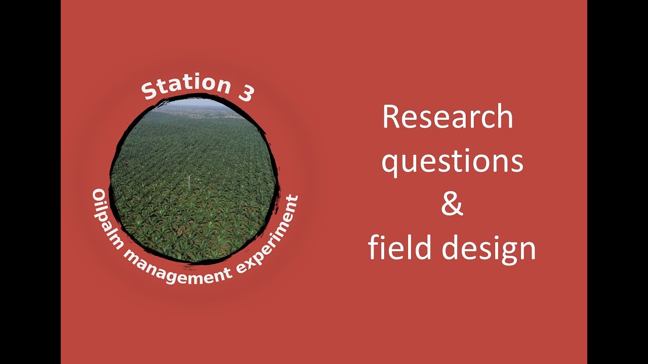 Station 3: Research questions & field design - YouTube