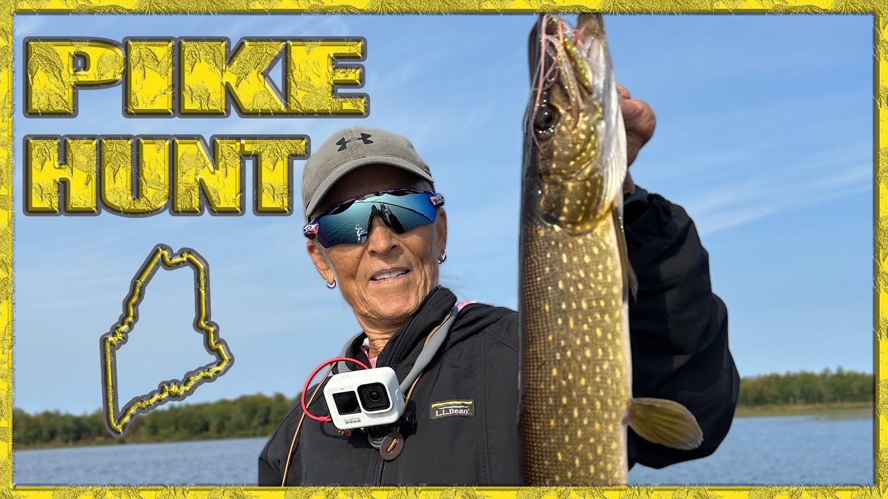 The Hunt for Pike - 9/23/23 - YouTube