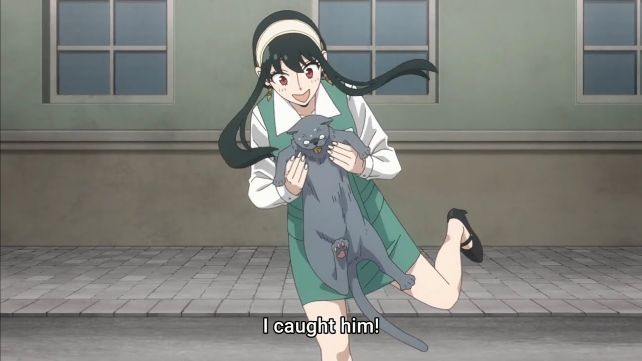 Yor Forger catches the lost Cat funny scene with Franky | Spy x Family ...