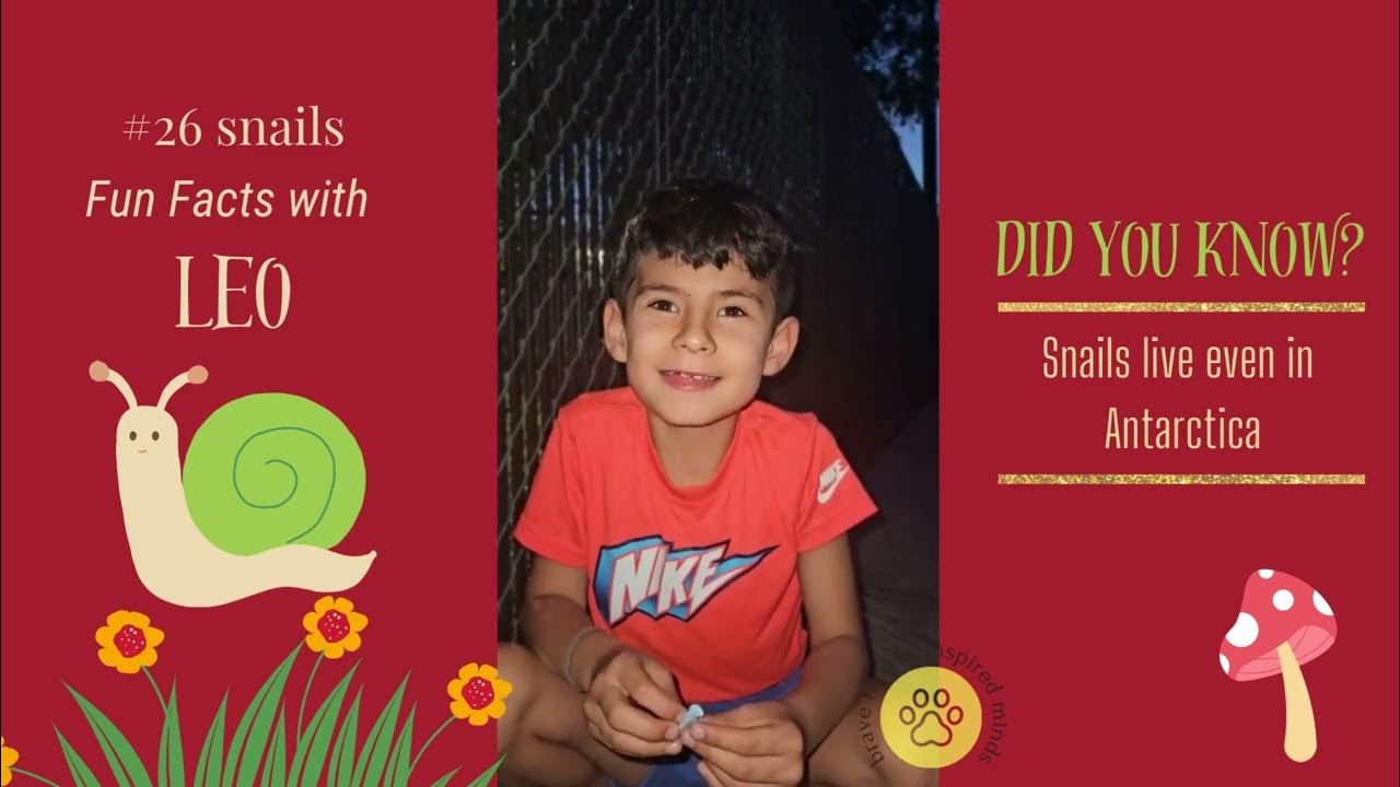 #26 snails Educational videos with Leo. #fun #facts #nature #learning # ...