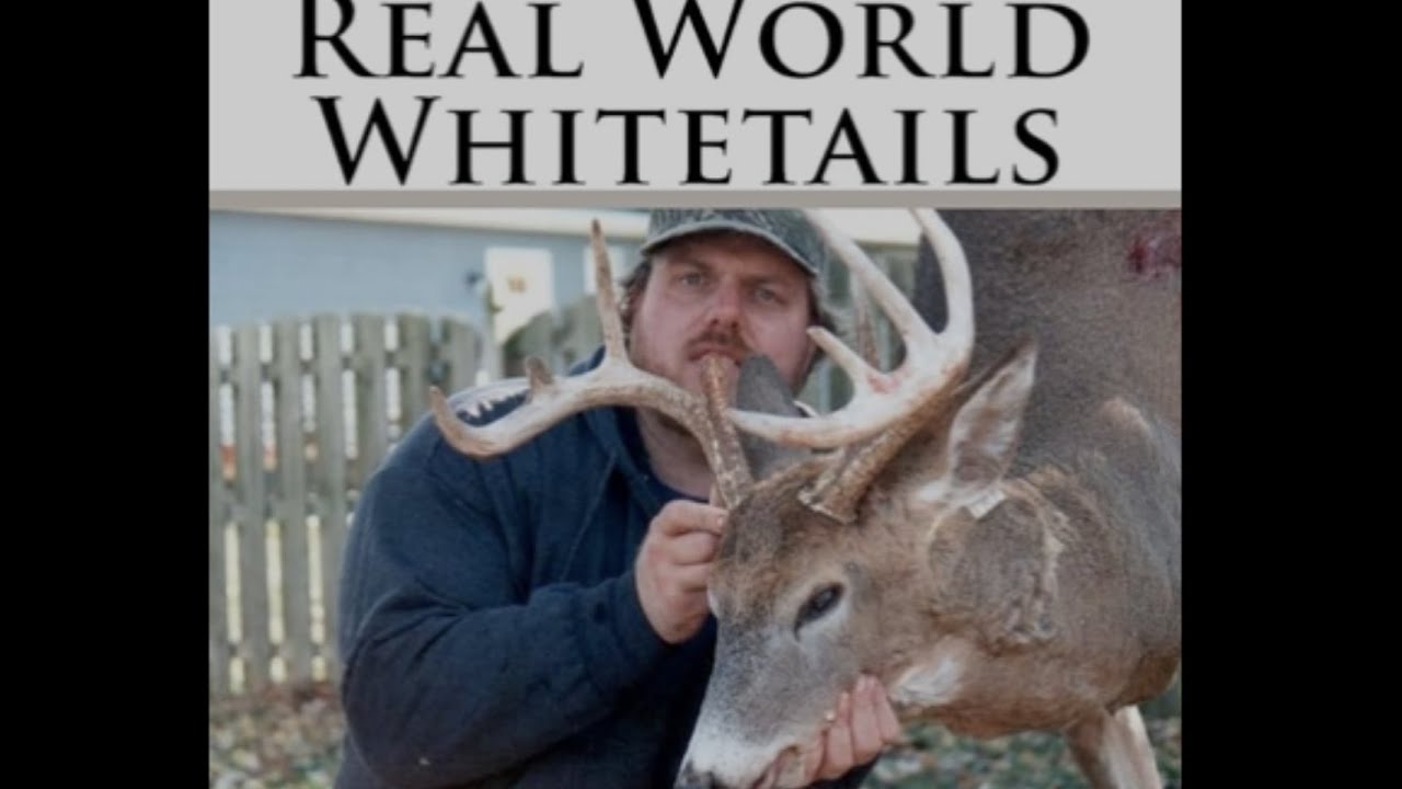The book cover buck and the deer hunting story behind the hunt - YouTube