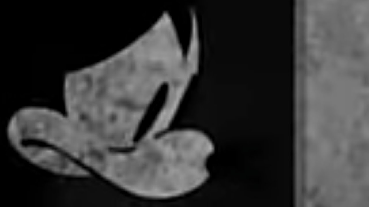 sns retake mickey TEST DC2 - YouTube