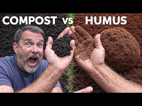 Humus vs Compost—What’s the Real Difference and Which One Builds Soil ...