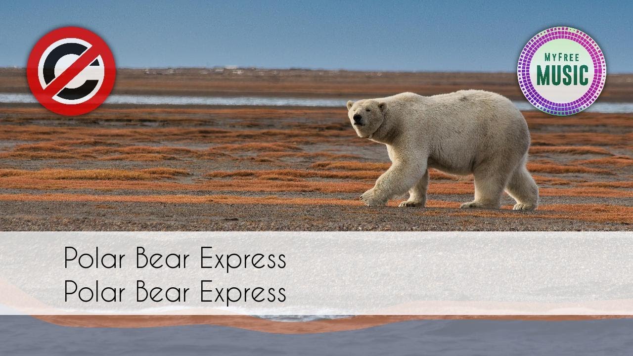Polar Bear Express - Polar Bear Express - YouTube