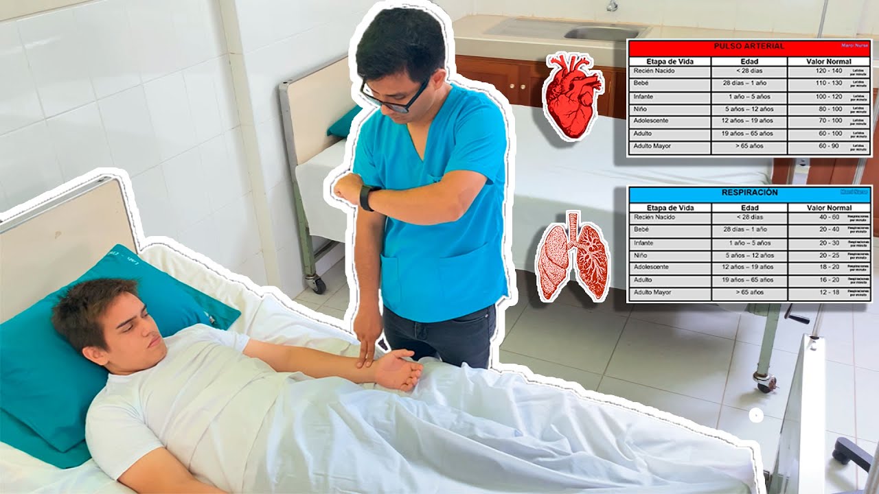 Cómo tomar el Pulso Arterial y la Frecuencia Respiratoria – Fácil - YouTube