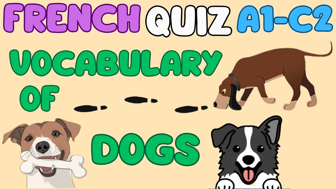 FRENCH VOCABULARY about DOGS 🐶 in 10 questions | FRENCH QUIZ for all ...