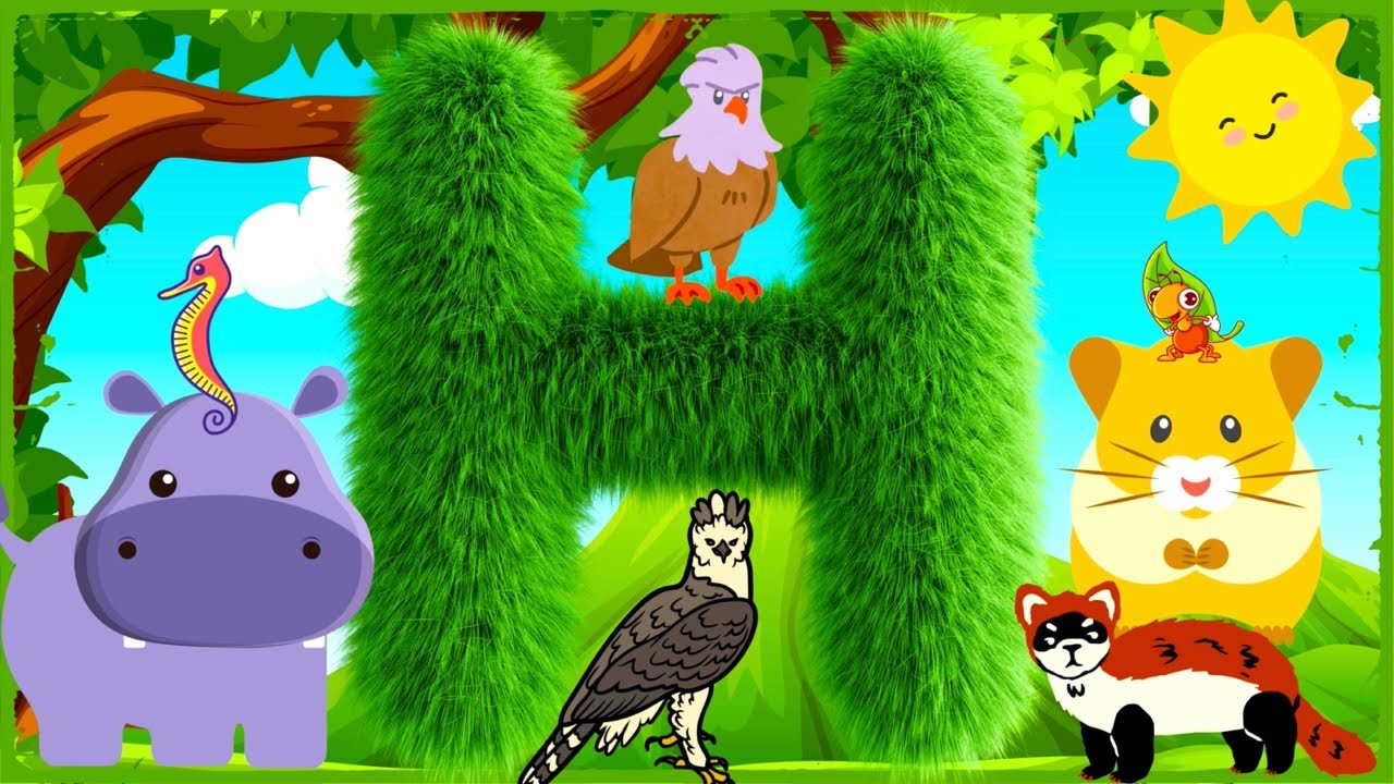 Todos Los Animales Del Mundo Con La Letra H Y Sus SONIDOS - YouTube