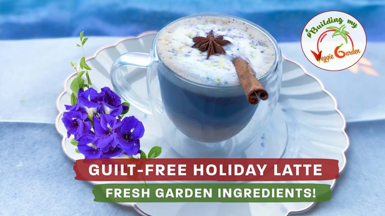 Indulge guilt-free with our Holiday Latte! - YouTube