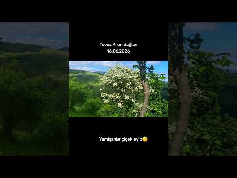 Tovuz dağları. Kirən kəndi🙂🤲