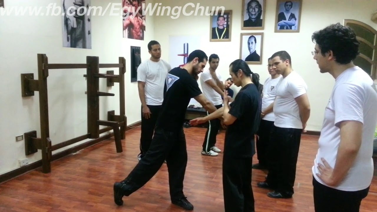 Grandmaster Tam Yiu Ming Wing Tsun seminar 2012 Egypt - YouTube