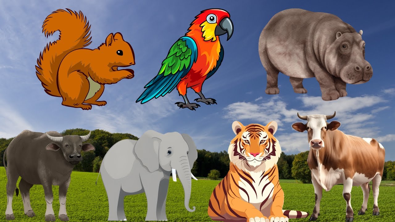 Relaxing Farm Sounds with Cute Animals | Peaceful Animal Ambience for ...