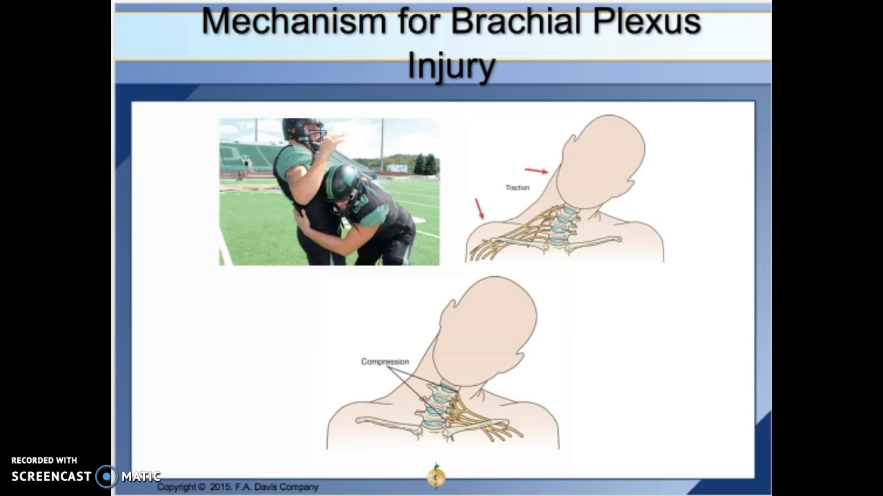 Cervical and Thoracic Spine Assessment Part 2 - YouTube