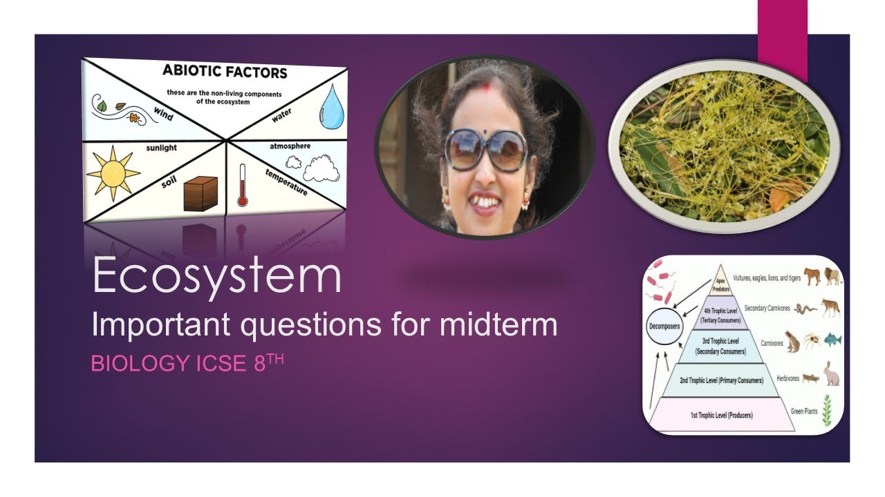 Ecosystem I Grade 8th I ICSE I Biology I Mid Term Question Pattern I ...