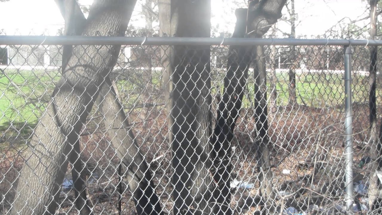 SUPER GOD REIDER EVIDENCE CASE -1* 2015 ~ PEOPLE VS MARY & ANDY REID ...