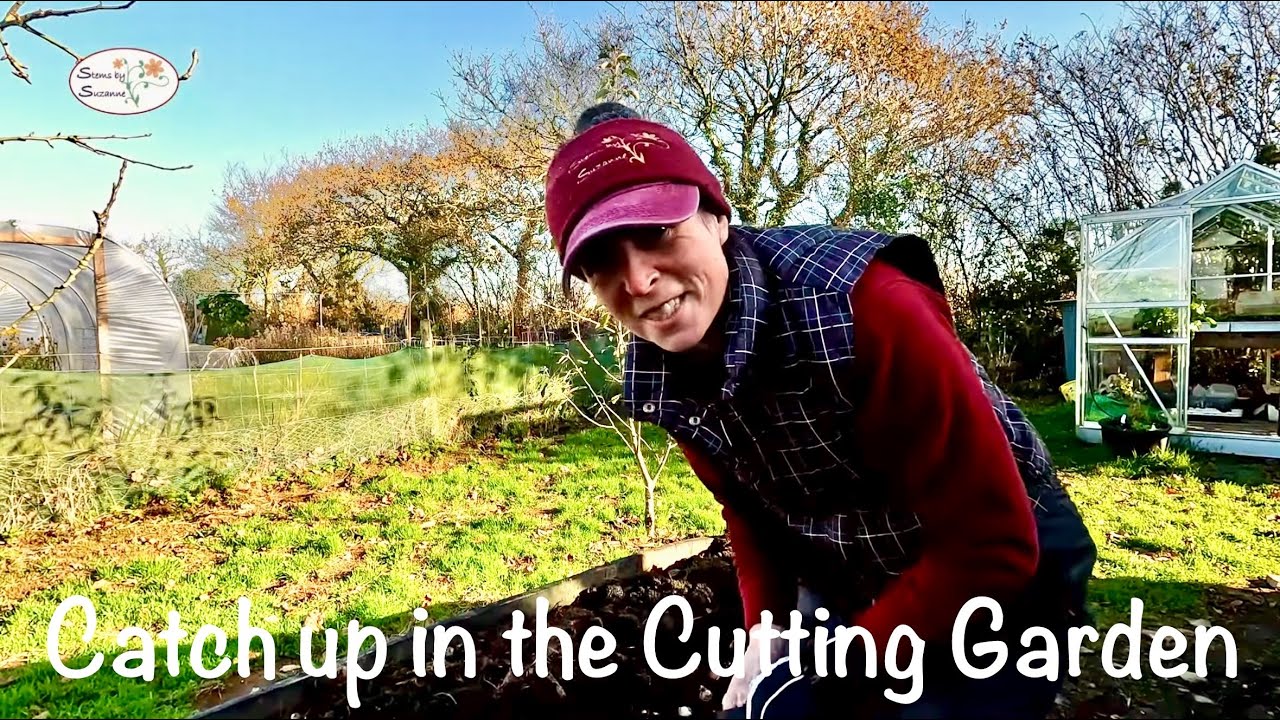 A Cutting Garden Catch Up// Stems by Suzanne 🌸 - YouTube