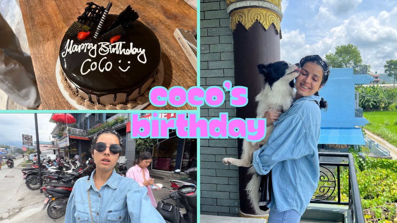 Coco the dog 🐶 || His birthday 🥳 celebration 🎉 || An animal lover 🥺 ️ ...