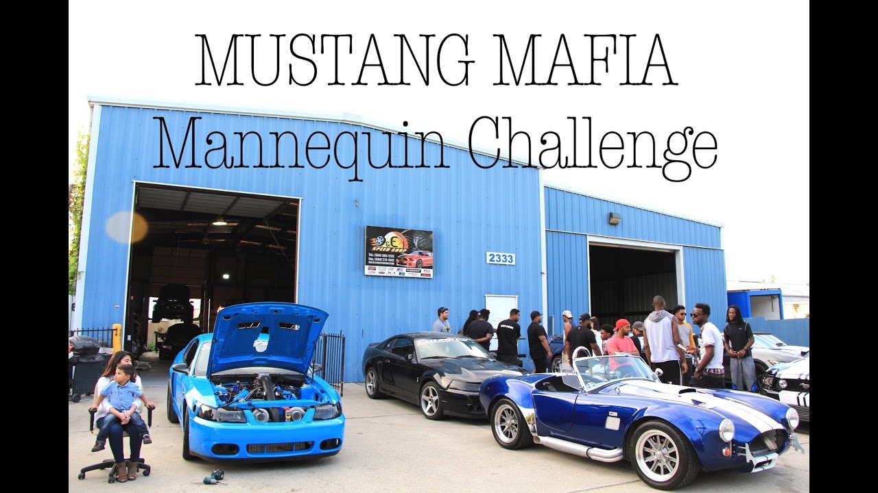 Mustang Mafia Mannequin Challenge - YouTube