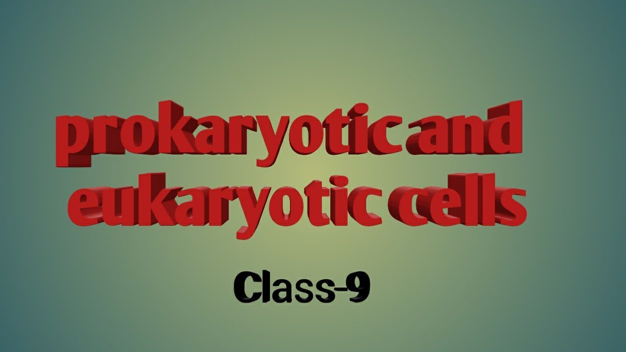 Prokaryotic cell and eukaryotic cell.Class-9 - YouTube